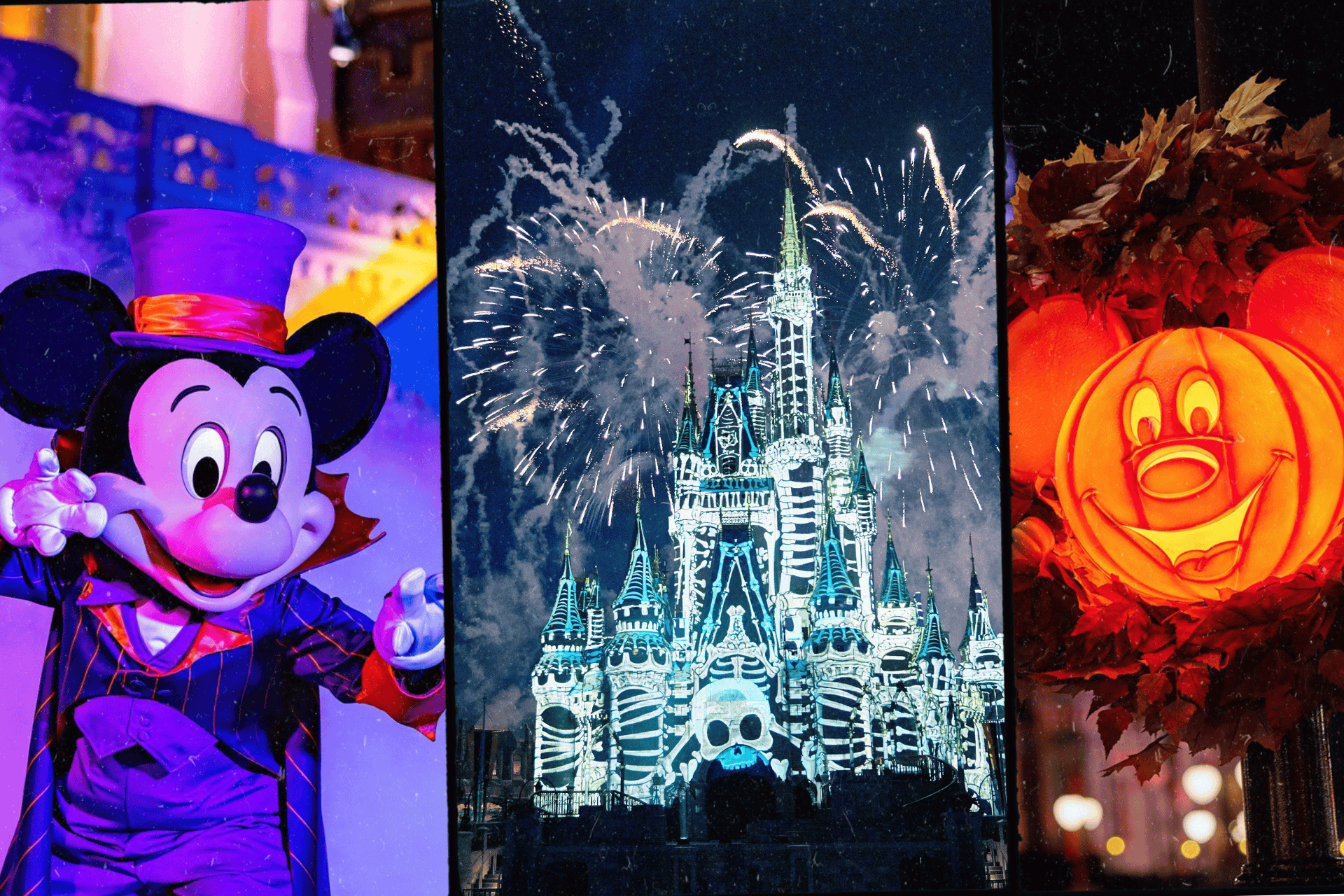 Disney Halloween: A guide to Walt Disney World Resort - Netflights Blog