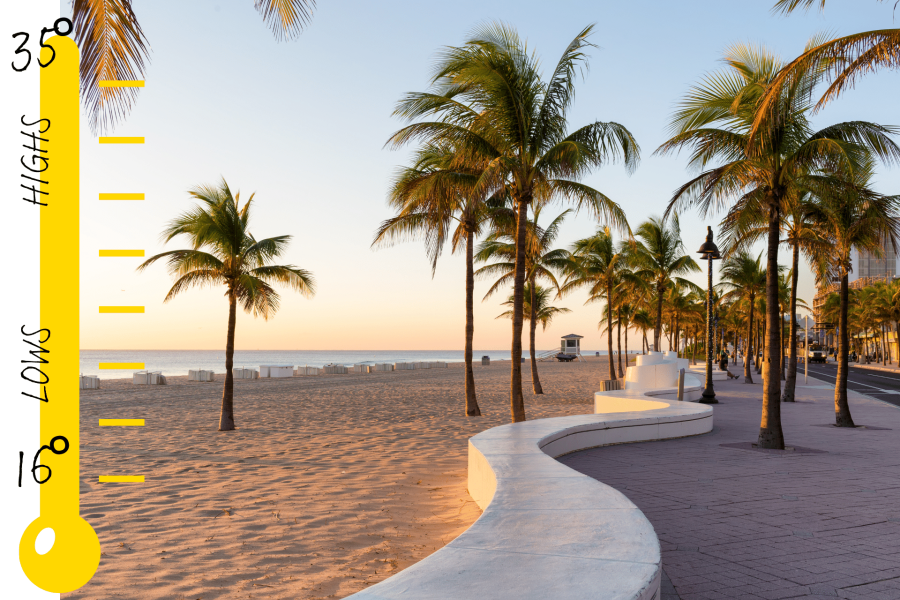 What's the weather like in Florida? | Netflights