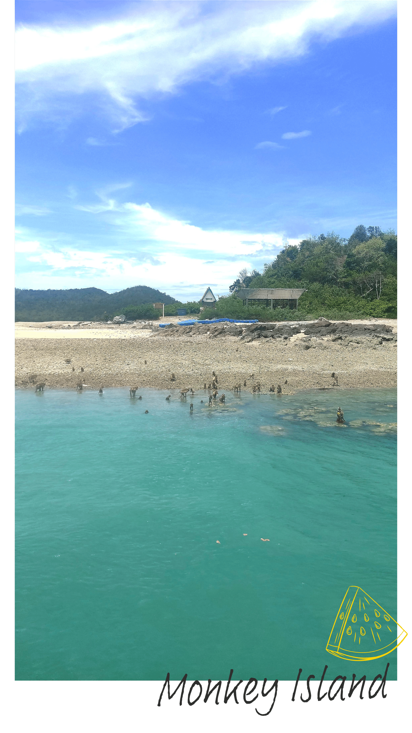 Come with us to Thailand: 48 hours(ish) in Pattaya | Netflights